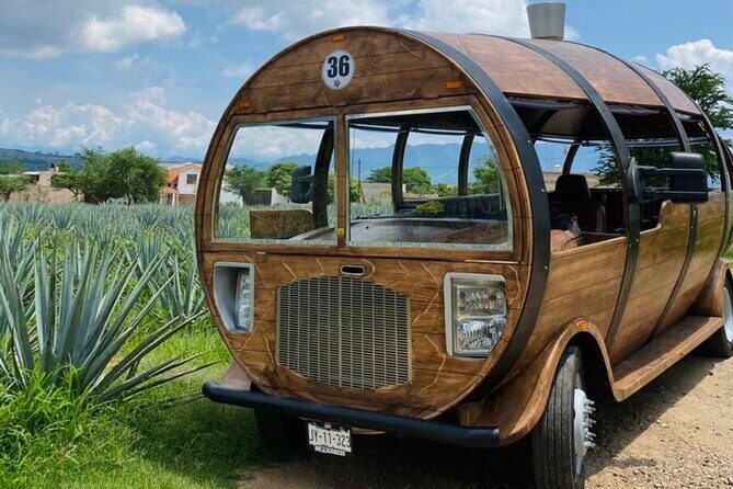 Cultural tour, city fields and distillery - Who Will Love This Tour?