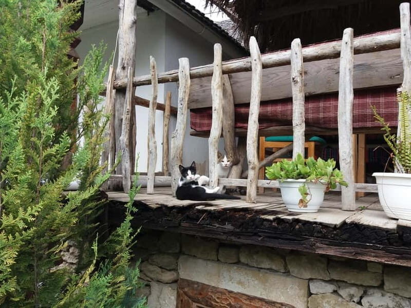 Curchi Monastery, Old Orhei and Cricova Winery (Optional) - Who Will Love This Tour?  