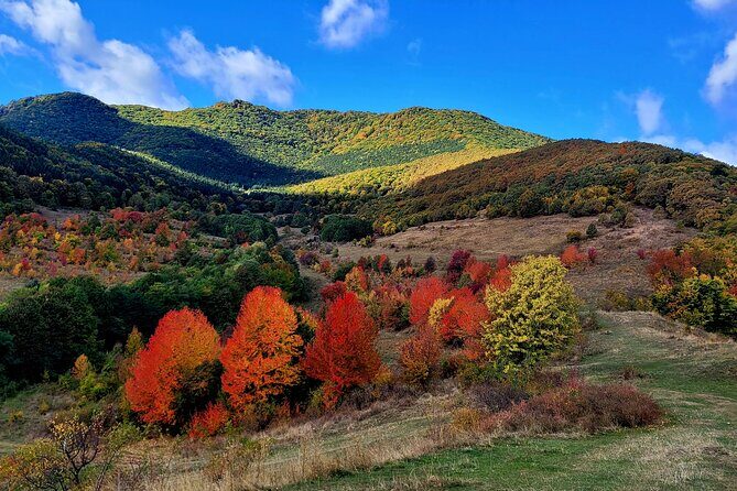 Curly Tour - Day trip from Cluj :) - Wrapping Up