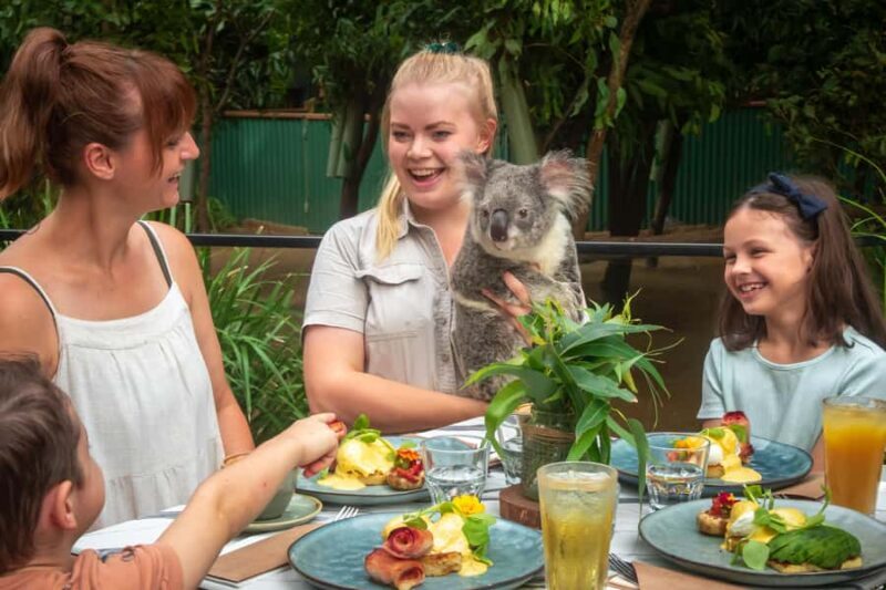 Currumbin Wildlife Sanctuary Entry Ticket - Exploring the Currumbin Wildlife Sanctuary: An Honest Review