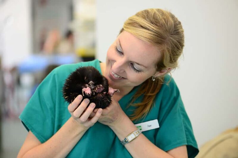 Currumbin Wildlife Sanctuary Entry Ticket - FAQ