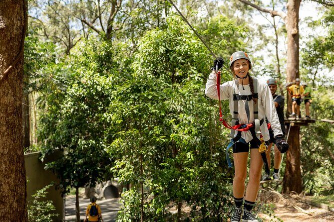 Currumbin Wildlife Sanctuary Pass + The Treetop Challenge - Who Will Love This Experience?
