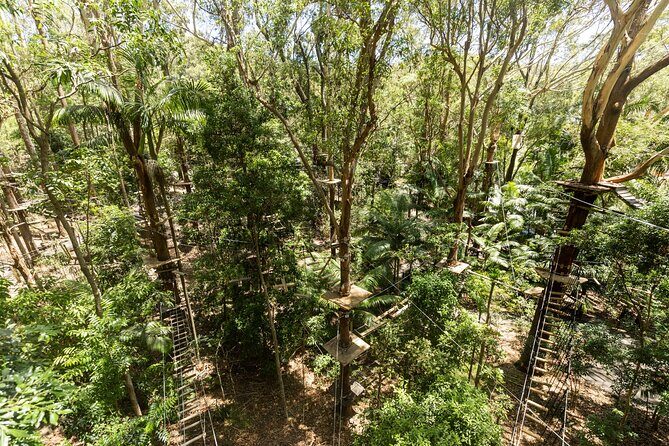 Currumbin Wildlife Sanctuary Pass + The Treetop Challenge - FAQ