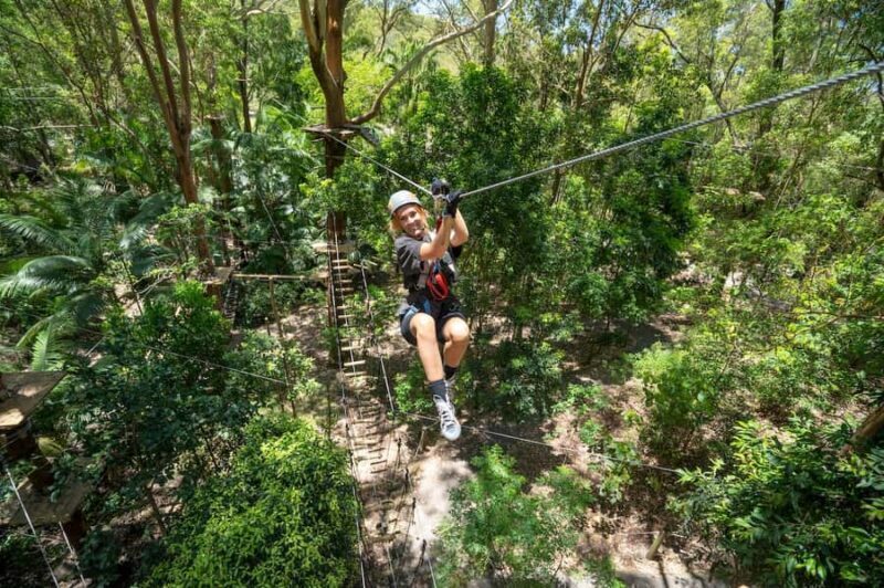 Currumbin Wildlife Sanctuary & TreeTop Challenge Combo - An In-Depth Look at Currumbin Wildlife Sanctuary & TreeTop Challenge Combo