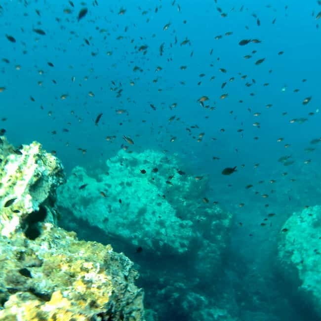 Curso de PaddleSurf, Visita Cuevas y Calas secretas, Snorkel - Who Is This Tour Best For?