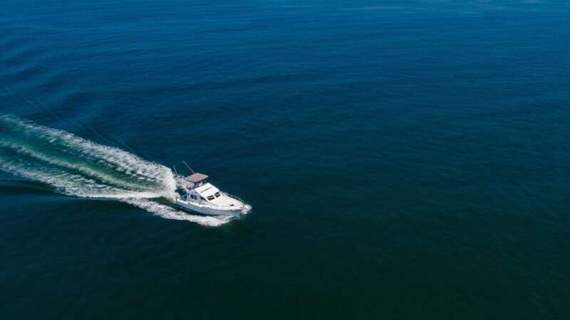 Custom 46' Boat in Puerto & Nuevo Vallarta - Who Will Love This Tour?