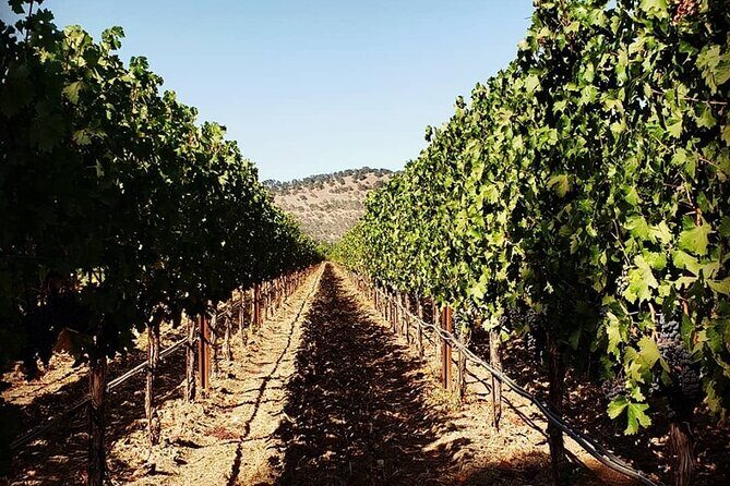 Custom 6-Hour Napa Valley Wine Tour in a Luxury Vehicle - Why Choose the Custom Napa Valley Wine Tour?