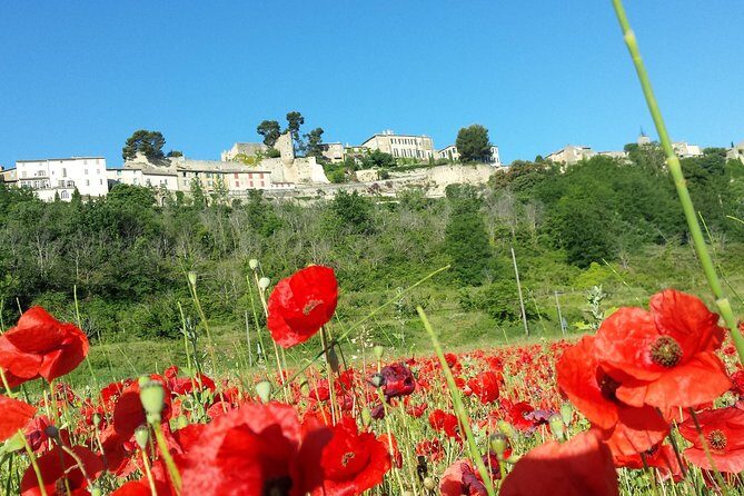 Custom Half-Day Private Tour through Provence - Key Points  