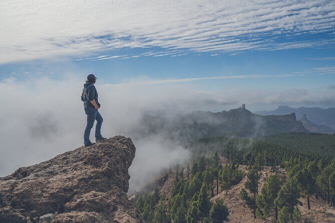 Custom Private & VIP Highlights Tour of Gran Canaria - Key Points