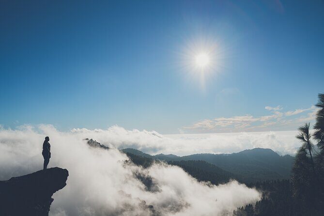 Custom Private & VIP Highlights Tour of Gran Canaria - Food and Breaks