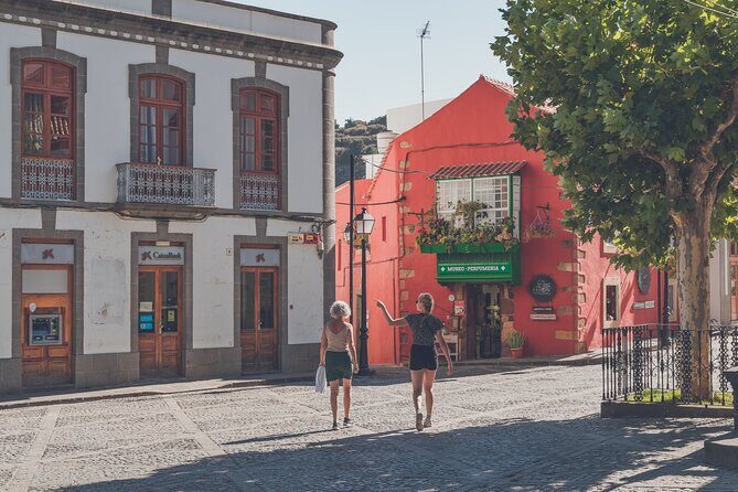 Custom Private & VIP Highlights Tour of Gran Canaria - Who Should Consider This Tour?