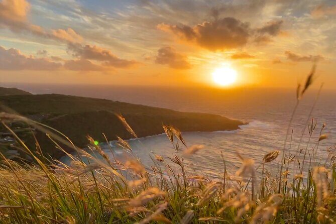 Customizable Private Tour Oahu - 1 to 6 passengers - FAQ