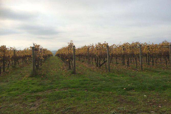 Customized private winery day tour in Mornington Peninsula at your own choices - What Guests Love About This Tour
