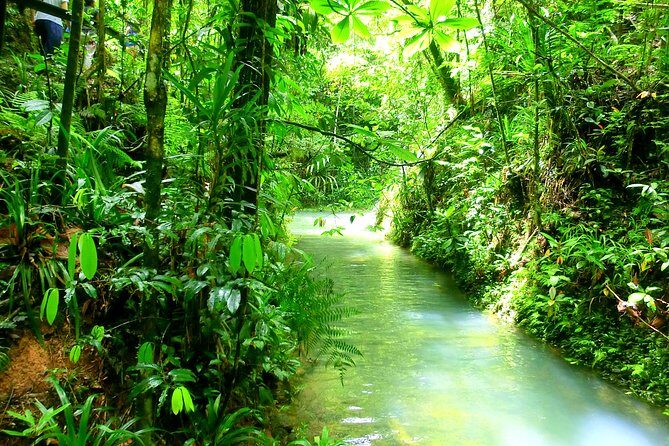 Customized Suva day tour - Final Thoughts