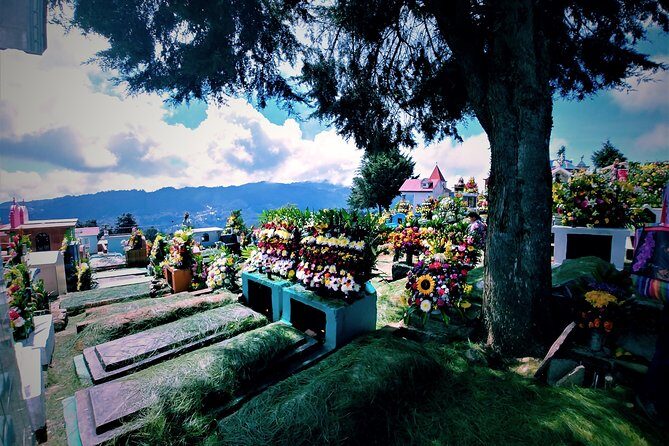 Customs of indigenous villages of Chiapas - The Itinerary Breakdown: What You’ll Experience