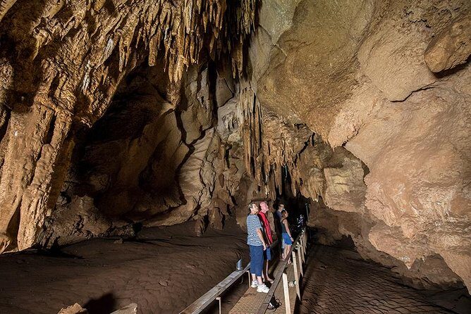 Cutta Cutta Caves Nature Park Guided Tours - What Makes the Tour Stand Out