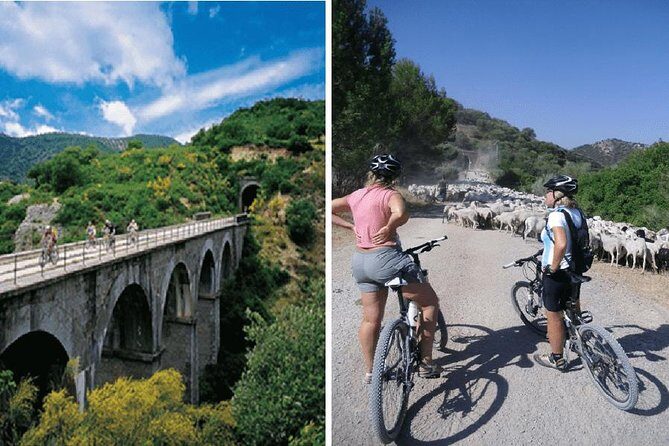 Cycling - Via Verde de la Sierra - 36km - Easy Level - Pricing and Value