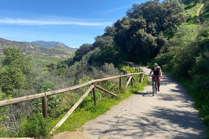 Cycling - Via Verde de la Sierra - Easy Difficulty - Ronda - What Makes This Tour Stand Out