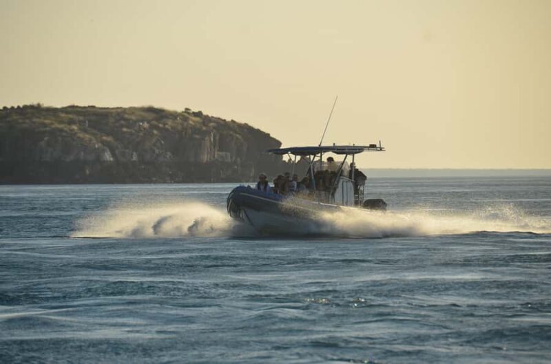 Cygnet Bay Island Explorer Scenic Cruise Experience - Introduction: A Scenic Journey in the Kimberley