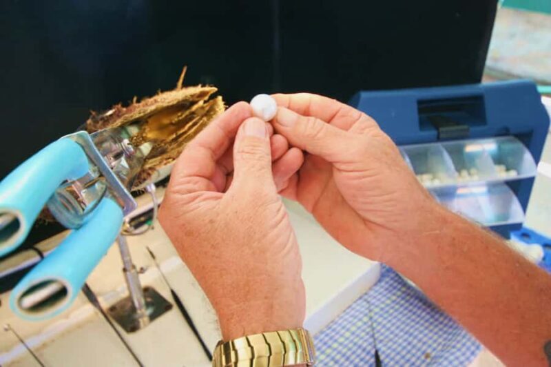 Cygnet Bay Pearl Farm Behind-the-Scenes Tour & Live Harvest - The Journey to Cygnet Bay Pearl Farm