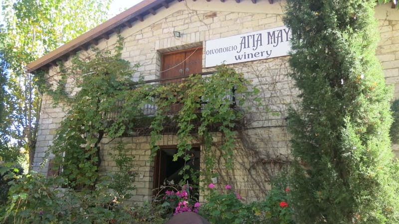 Cyprus: Troodos Mountain Wine Tour with a Local - Authenticity and Guides: A Real Highlight