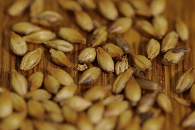 Czech Beer Tasting in Prague - Frequently Asked Questions