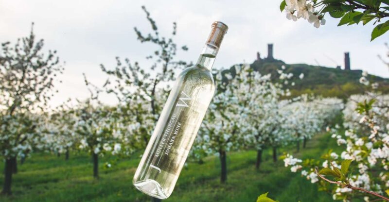 Czech Vineyards and Wine Tasting 4WD Tour with Lunch - FAQ