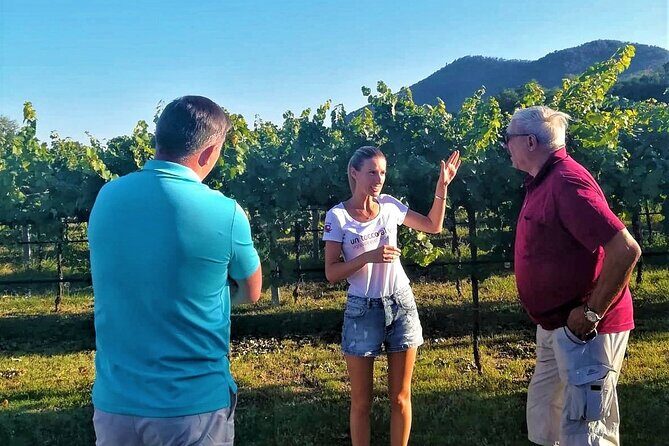 DA Padova: Wine tour in the Euganean Hills - A Deep Dive into the Euganean Hills Wine Tour
