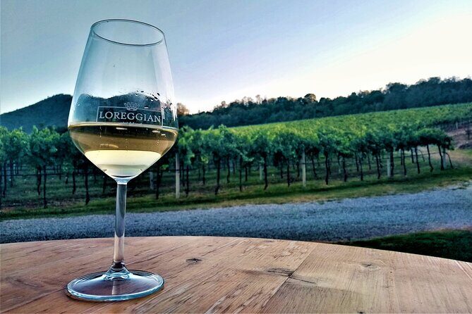 DA Padova: Wine tour in the Euganean Hills - Final Thoughts