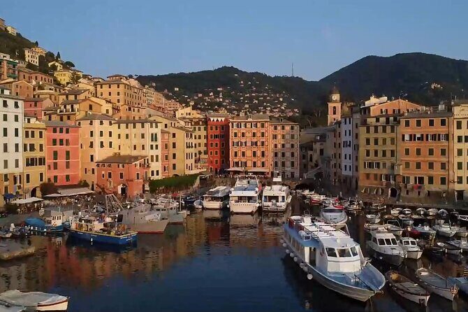 Daily and Sunset Nightly tour boat from Genoa to Portofino - Price and Value