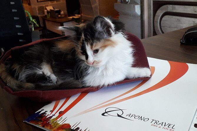 Daily Cappadocia Red and Underground Tour - Final Thoughts: Who’s This Tour For?