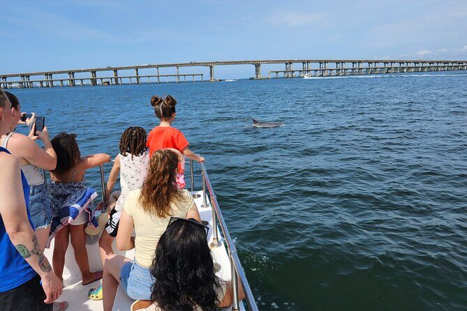 Daily Dolphin Cruise + Sightseeing Tour on Pensacola Beach - Practical Tips for Your Dolphin Cruise
