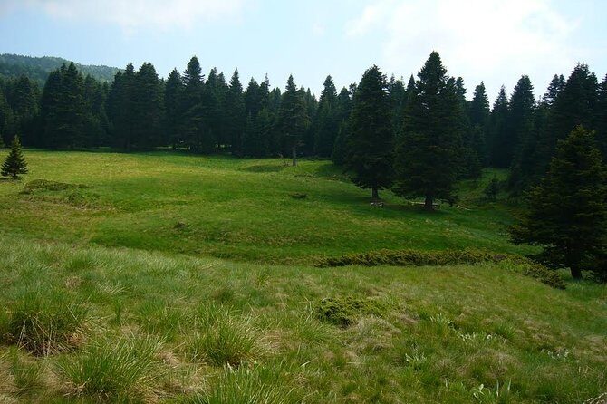 Daily Green Bursa Tour From Istanbul - Food and Dining