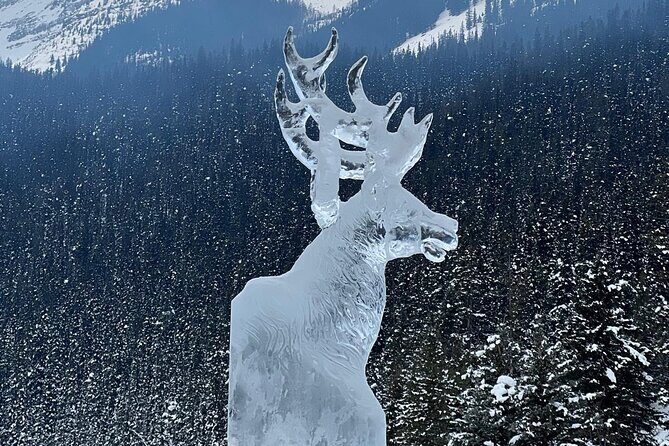 Daily One-Way Shuttle Service between Banff/Calgary/YYC Airport - FAQ