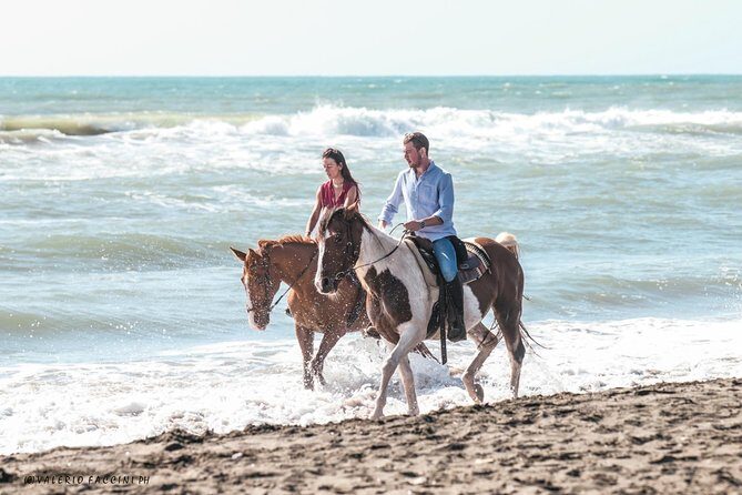 Daily out of Rome : Horseback ride with meals & wine included - An Overview of the Experience
