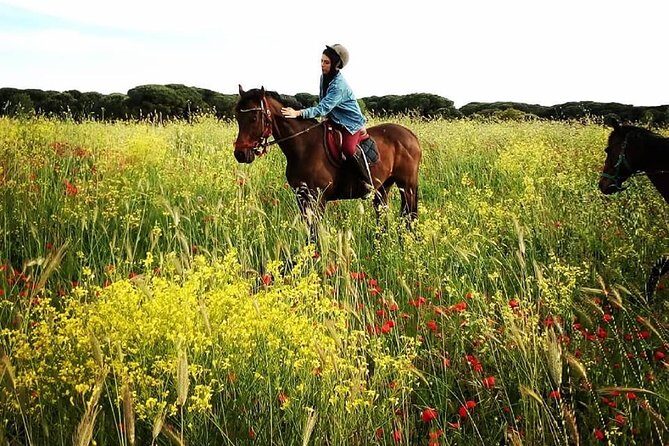 Daily out of Rome : Horseback ride with meals & wine included - Who Would Love This Tour?