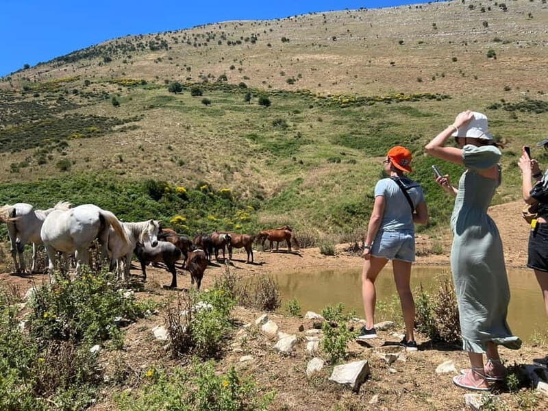 Daily Trip To:Blue Eye,Monastery,Gjirokaster&Lekursi Castle - An In-Depth Look at the Tour Experience