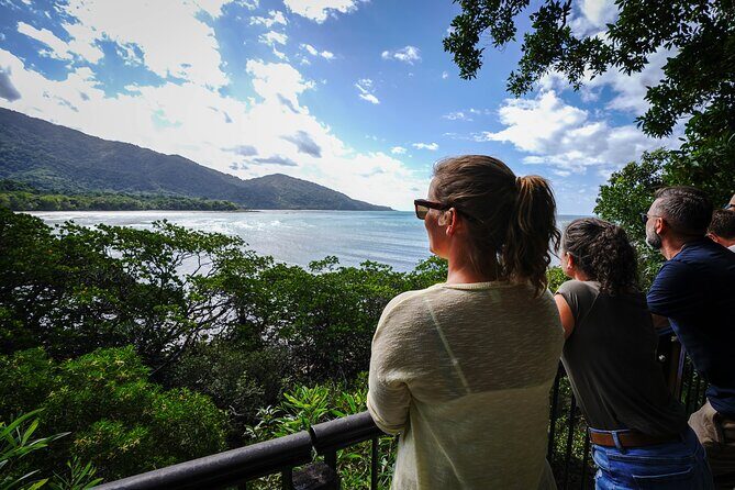 Daintree, Cape Tribulation & River Cruise from Port Douglas - Key Points