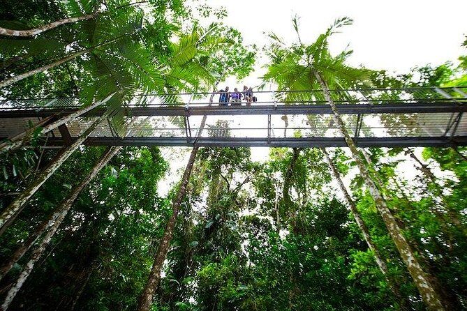 Daintree Discovery Centre Family Pass Ticket - A Deep Dive into the Experience