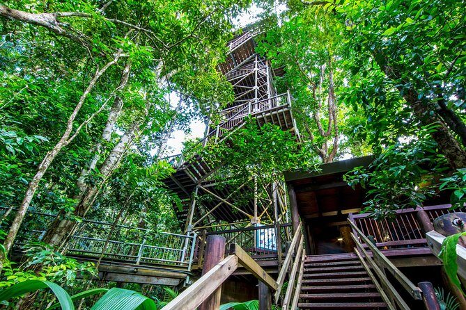 Daintree Discovery Centre Single Pass - The Experience: What to Expect at the Daintree Discovery Centre