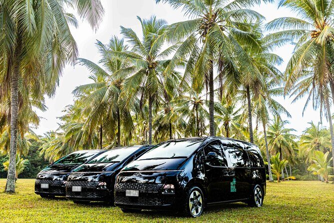 Daintree Eco Lodge to Cairns ONE WAY Private Transfer 6 pax - Final Thoughts