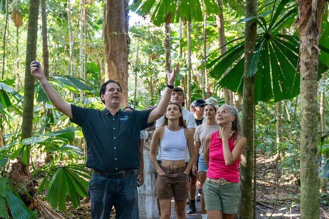 Daintree, Mossman Gorge and Wildlife Tour from Cairns - Key Points