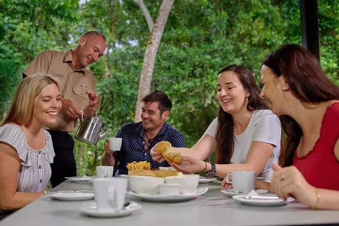 Daintree Rainforest and Cape Tribulation Day Tour from Cairns - Key Points