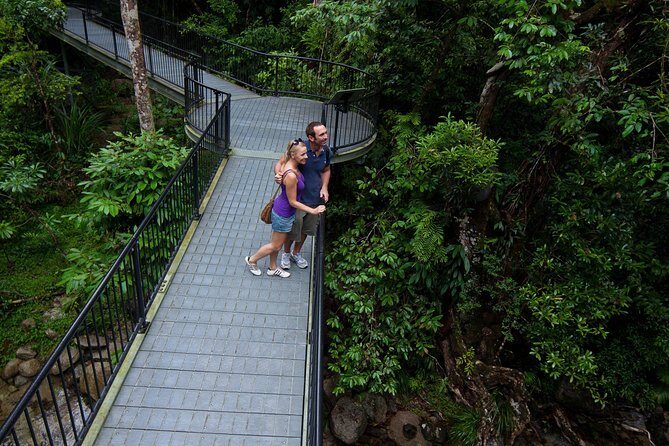 Daintree Rainforest and Cape Tribulation Day Tour from Cairns - Authentic Experiences and Tips from Visitors