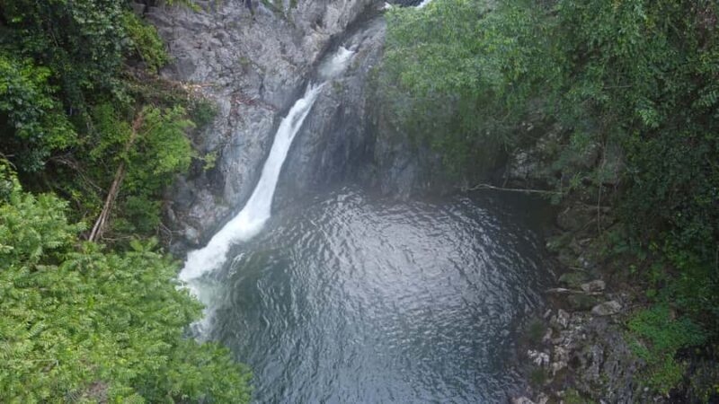 Daintree Rainforest: Waterfall Walk, Swim & Crocodile Cruise - Wildlife & Crocodile River Cruise