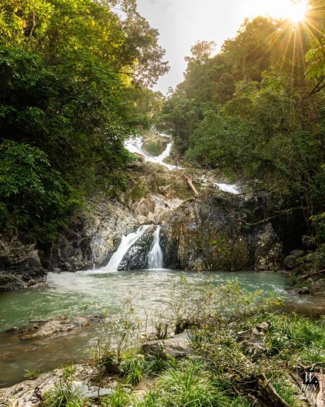 Daintree Rainforest: Waterfall Walk, Swim & Crocodile Cruise - FAQ