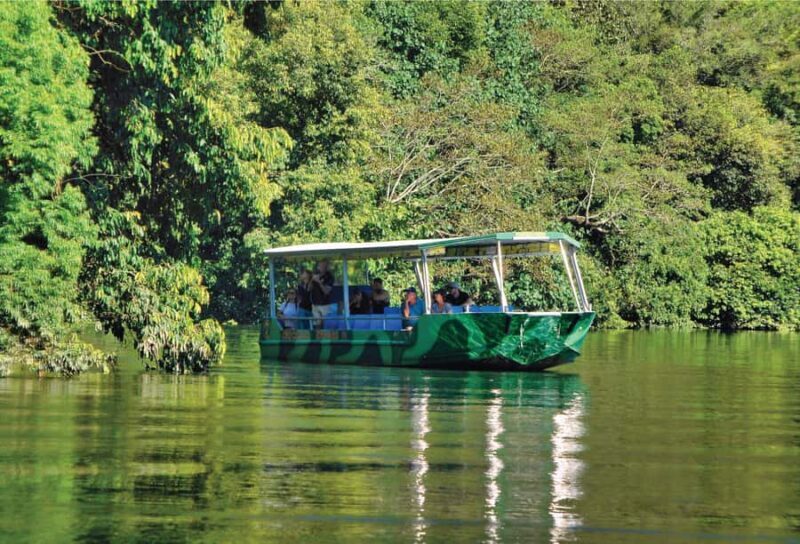 Daintree: River Rainforest Crocodile & Wildlife Cruise (DV) - Value and Practicalities
