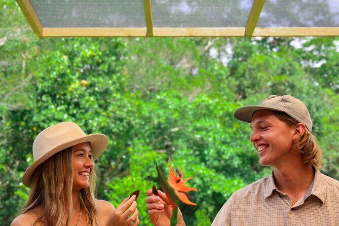 Daintree Sensations - A Closer Look at the Daintree Sensations Tour