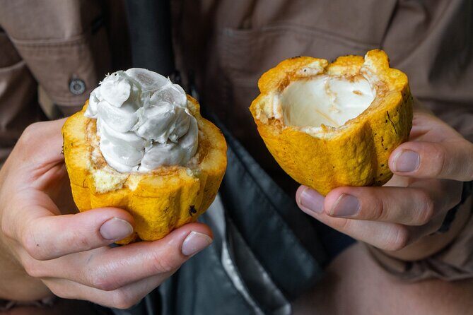 Daintree Sensations - Final Thoughts