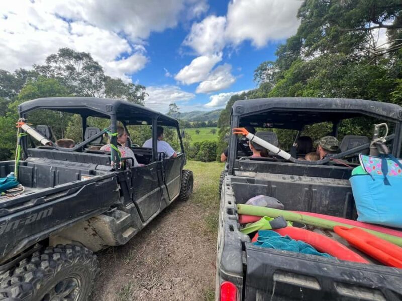 Daintree waters tour, all terrain vehicles and light lunch. - An In-Depth Look at the Daintree Waters Tour Experience